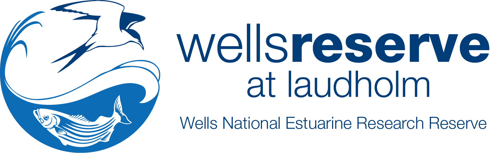 Wells Reserve Tide Tracker